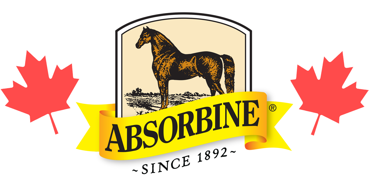 Absorbine® Veterinary Liniment – Absorbine Canada